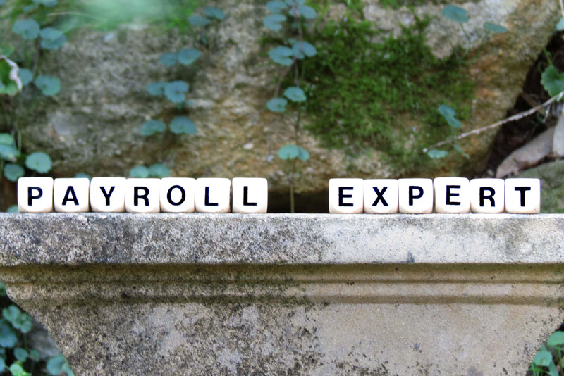 Payroll-Expert-800 - Advance Payroll Services